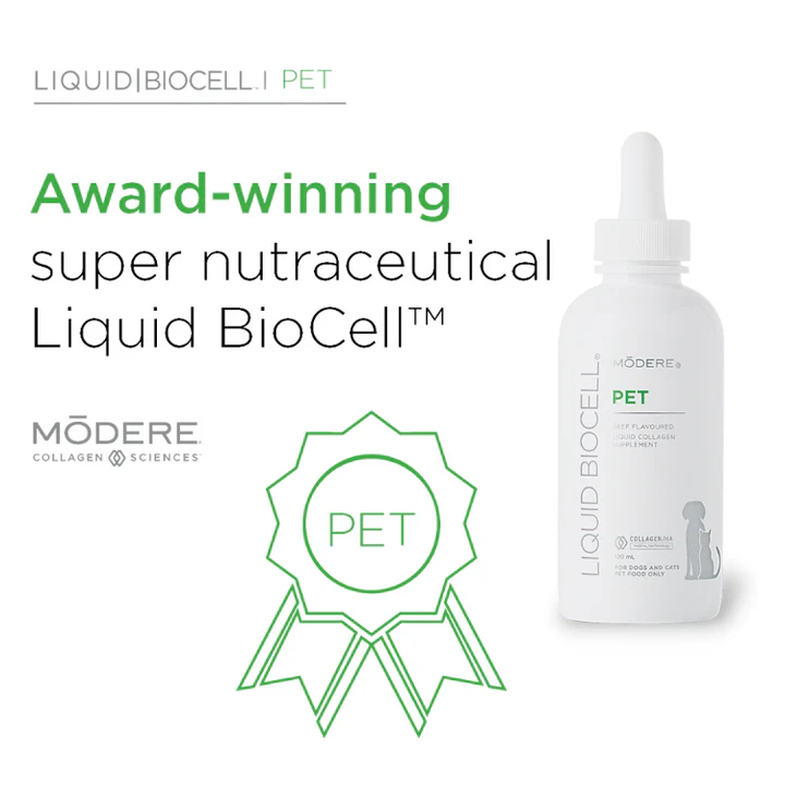 Modere Collagen for Dogs - Modere Liquid Biocell Collagen Pet Dogs Cats ...